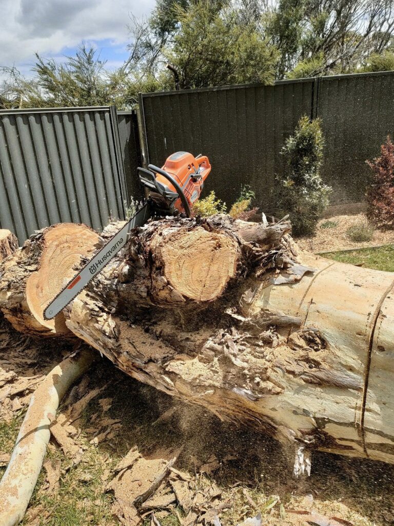 Fair Dinkum Tree Works