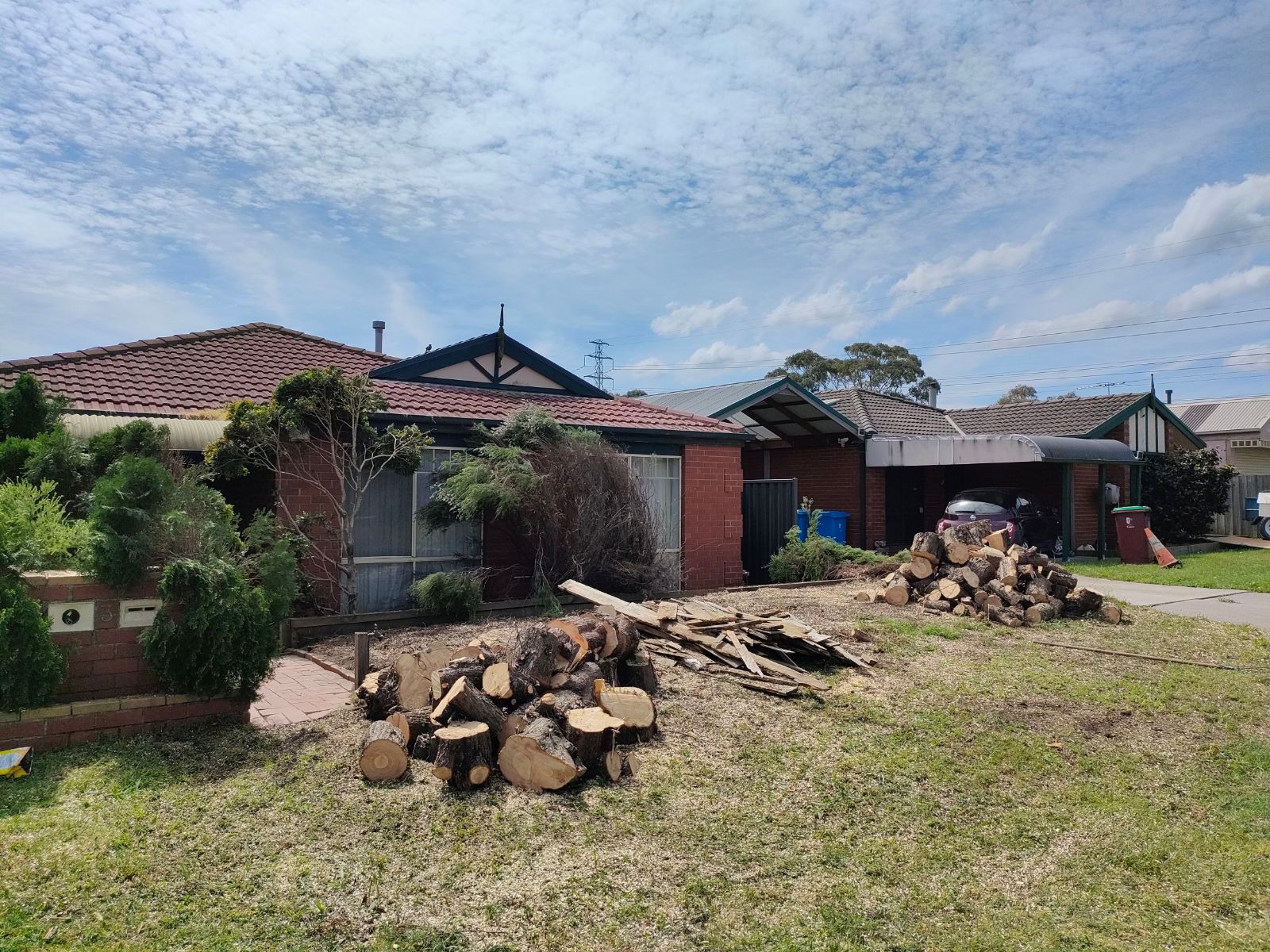 Gallery – Fair Dinkum Tree Works