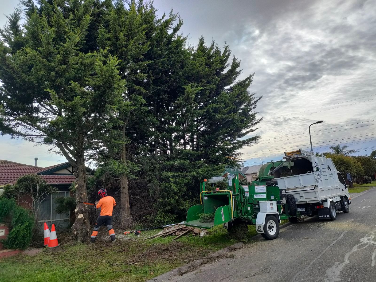 Gallery – Fair Dinkum Tree Works